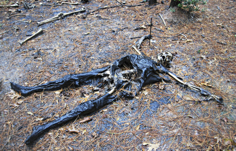 Afraid of death? Take comfort that you’ll live on in varied and surprising ways - Bhekisisa